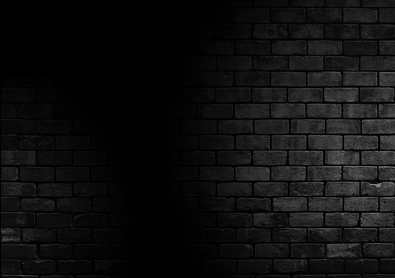 Vivid Roots Collective – theatre rooted in the Highlands