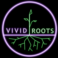 how-to-video-applications-script – Vivid Roots Collective